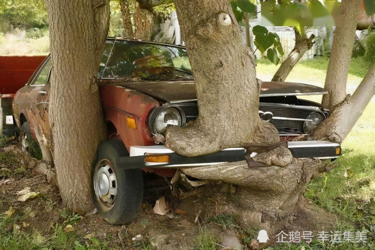 8 rare photos that reveal the "humorous" side of nature - iNEWS