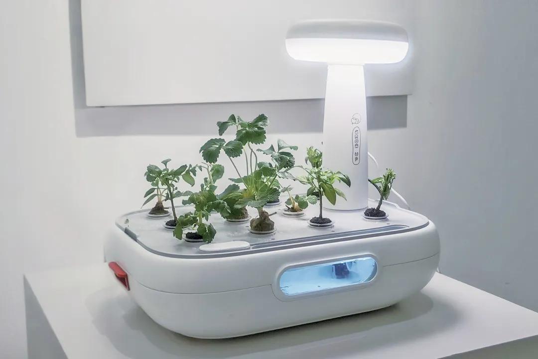 2021 red dot design lighting award-winning works - iNEWS
