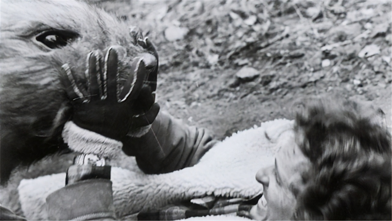 Chernobyl once appeared in giant swarms of rats and attacked humans. Is ...