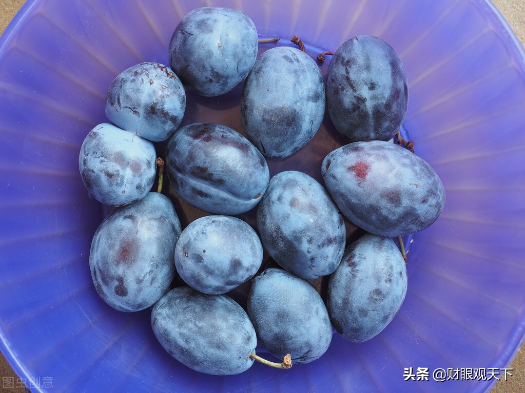 Xinjiang fruits not to be missed (4) - iNEWS