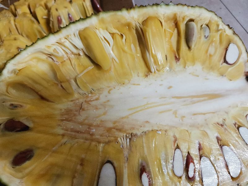 How to wash the jackfruit gum on my hands?These three methods are more ...