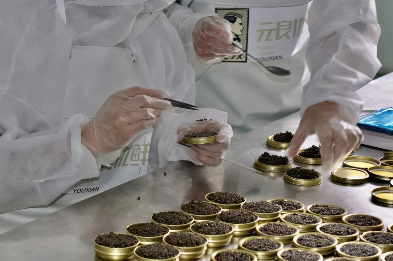 Yuanliangyou Fresh Caviar Farming Base Visiting Tour - iNEWS