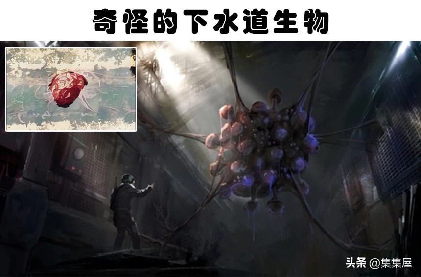 What are the creatures found in the sewers?5 strange discoveries made ...