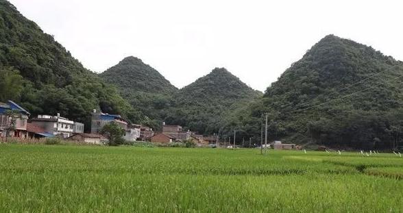 Strange nine-headed birds appear frequently, and some people die ...