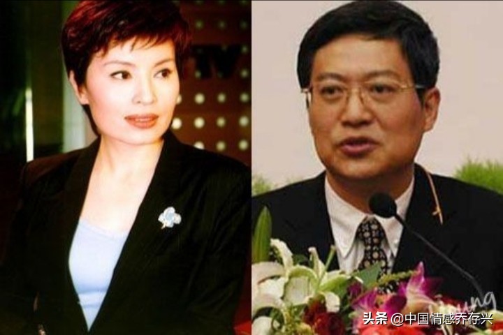 Li Ruiying: A strong CCTV beauty host - iNEWS