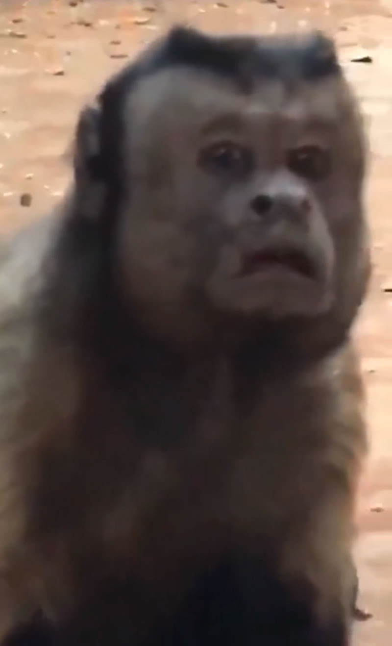 In front of it, you are too embarrassed to say that you are a national ...