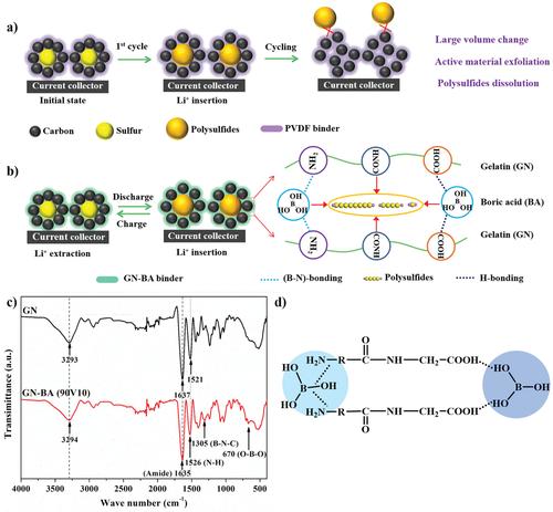 "AFM" Water-soluble cross-linking functional adhesive for low-cost and ...