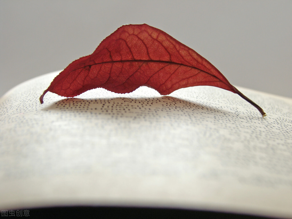 Gu Cheng and Gu Cheng - iNEWS