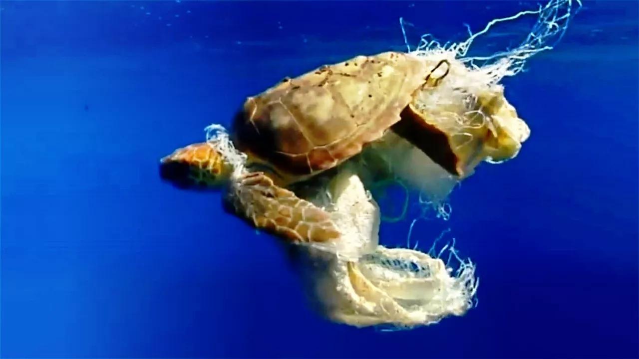 8 million tons of garbage flows into the ocean every year, creating the ...