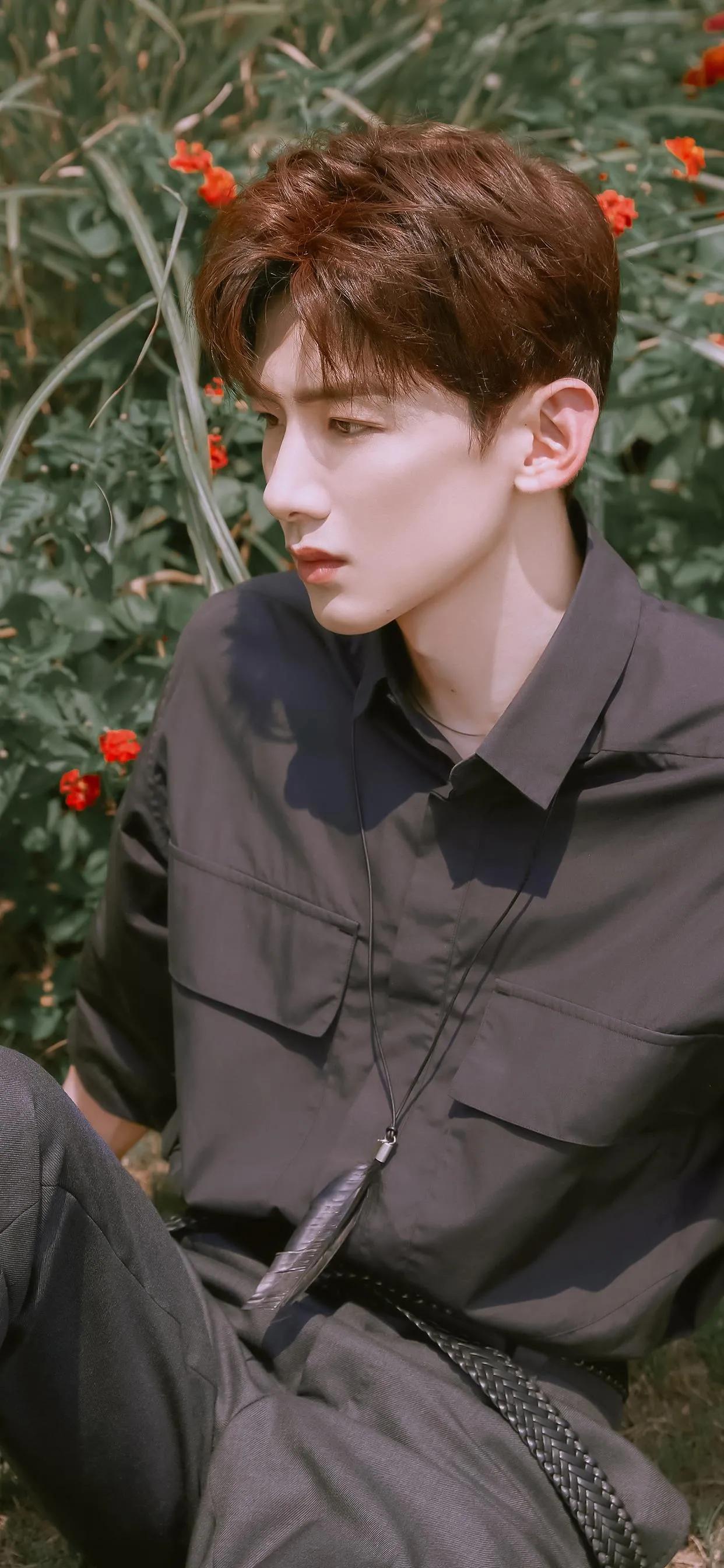 Star series wallpaper ~ Bai Jingting - iMedia