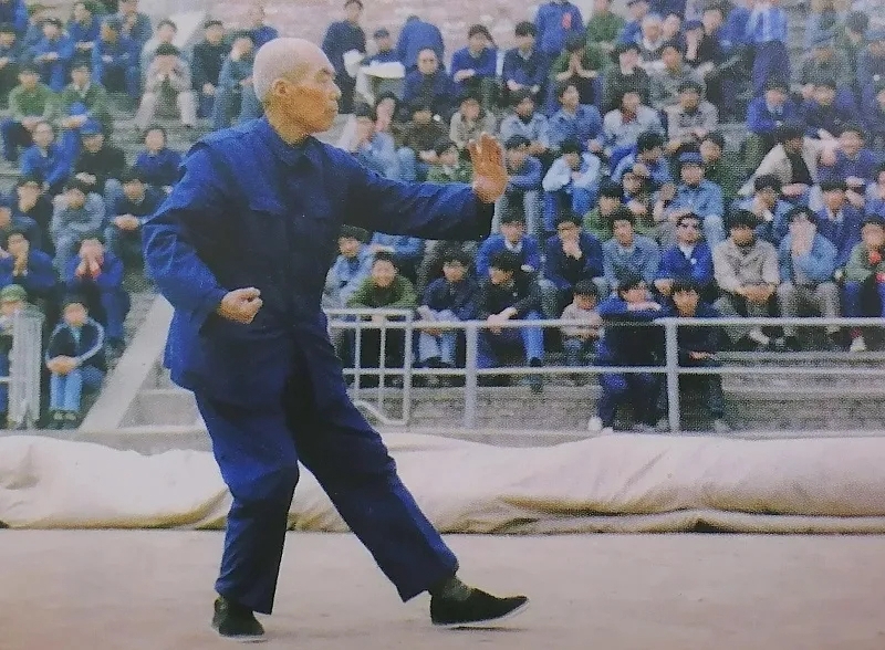 Zhao Youbin, the descendant of Yang's Taijiquan family: strength and softness combined with ...