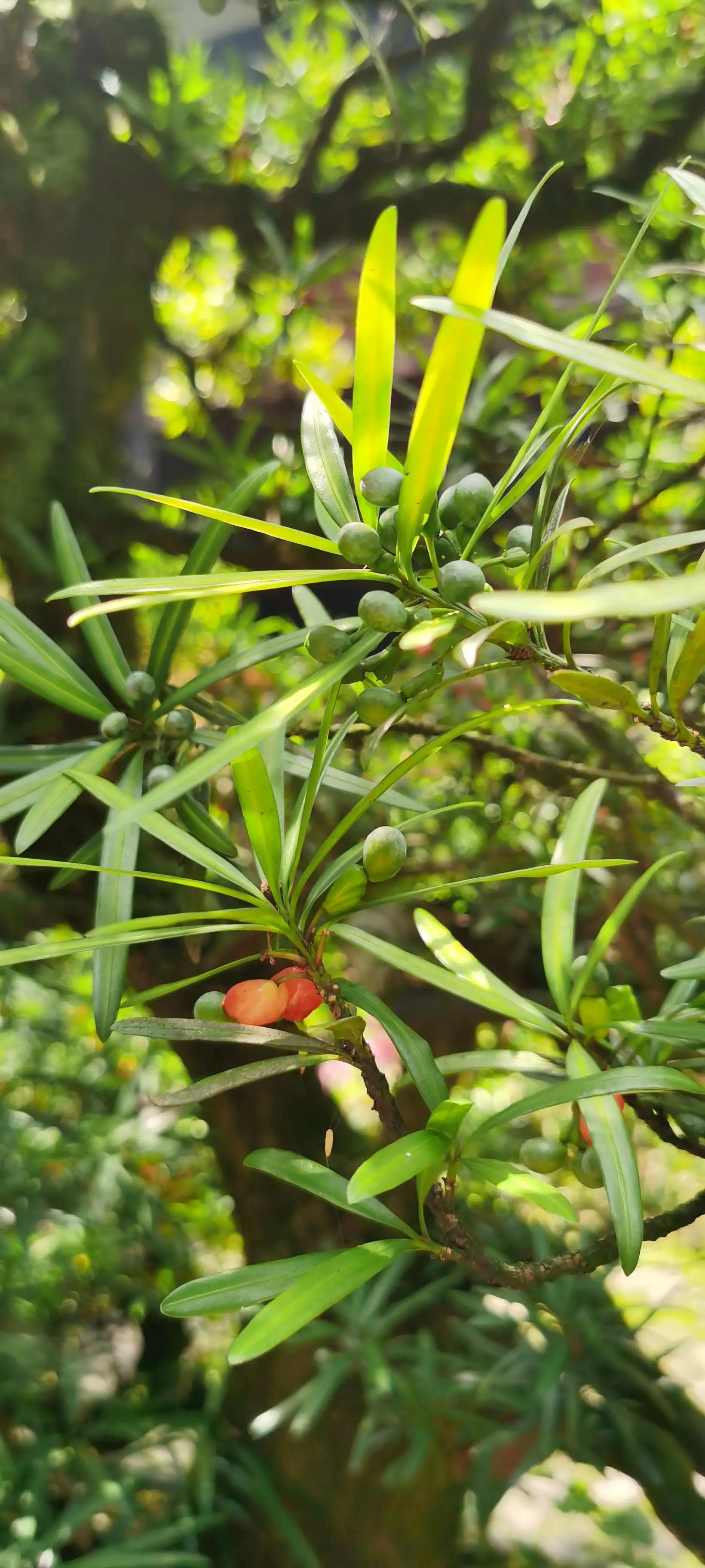Slowly tour the Tianshi Cave of Mount Qingcheng - iNEWS