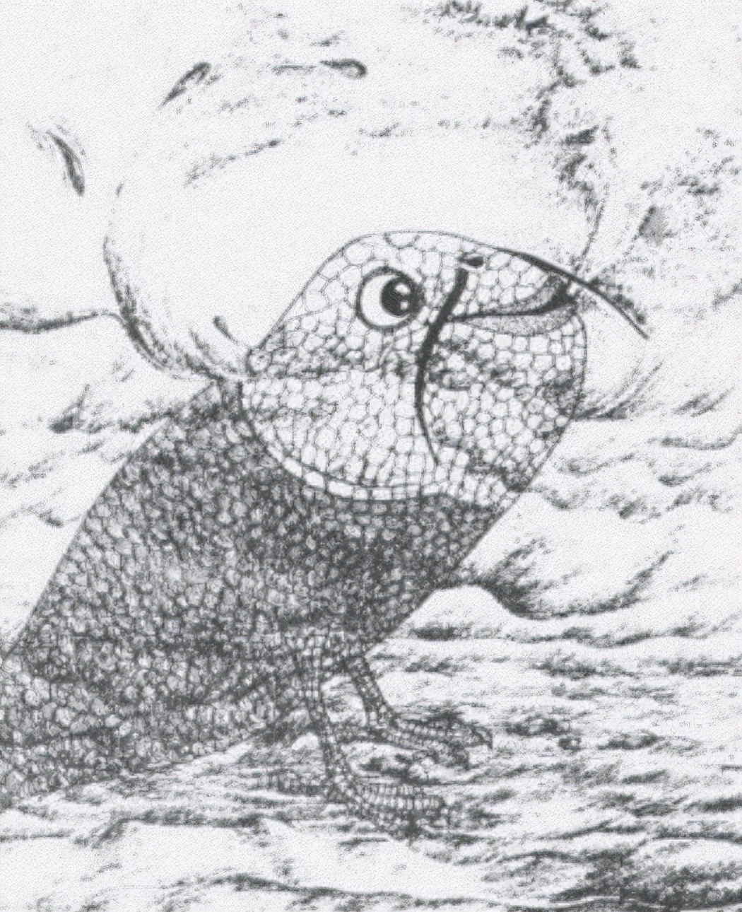 The Chinese Monster "Shan Hai Jing" - iNEWS