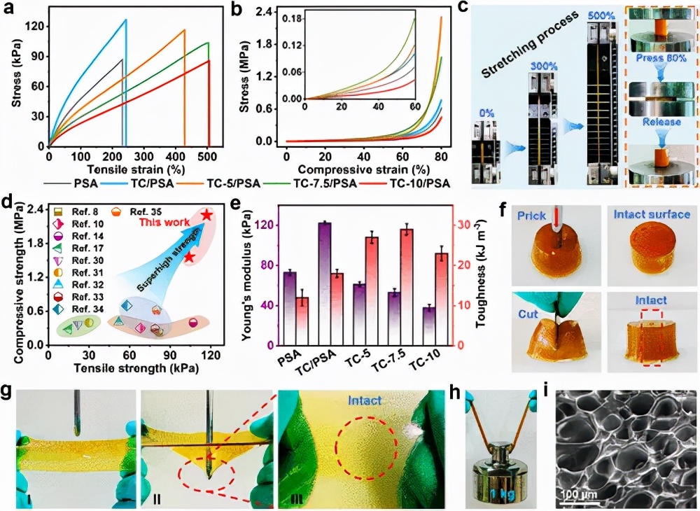 Low temperature adaptation/flexible zinc ion hybrid capacitor ...