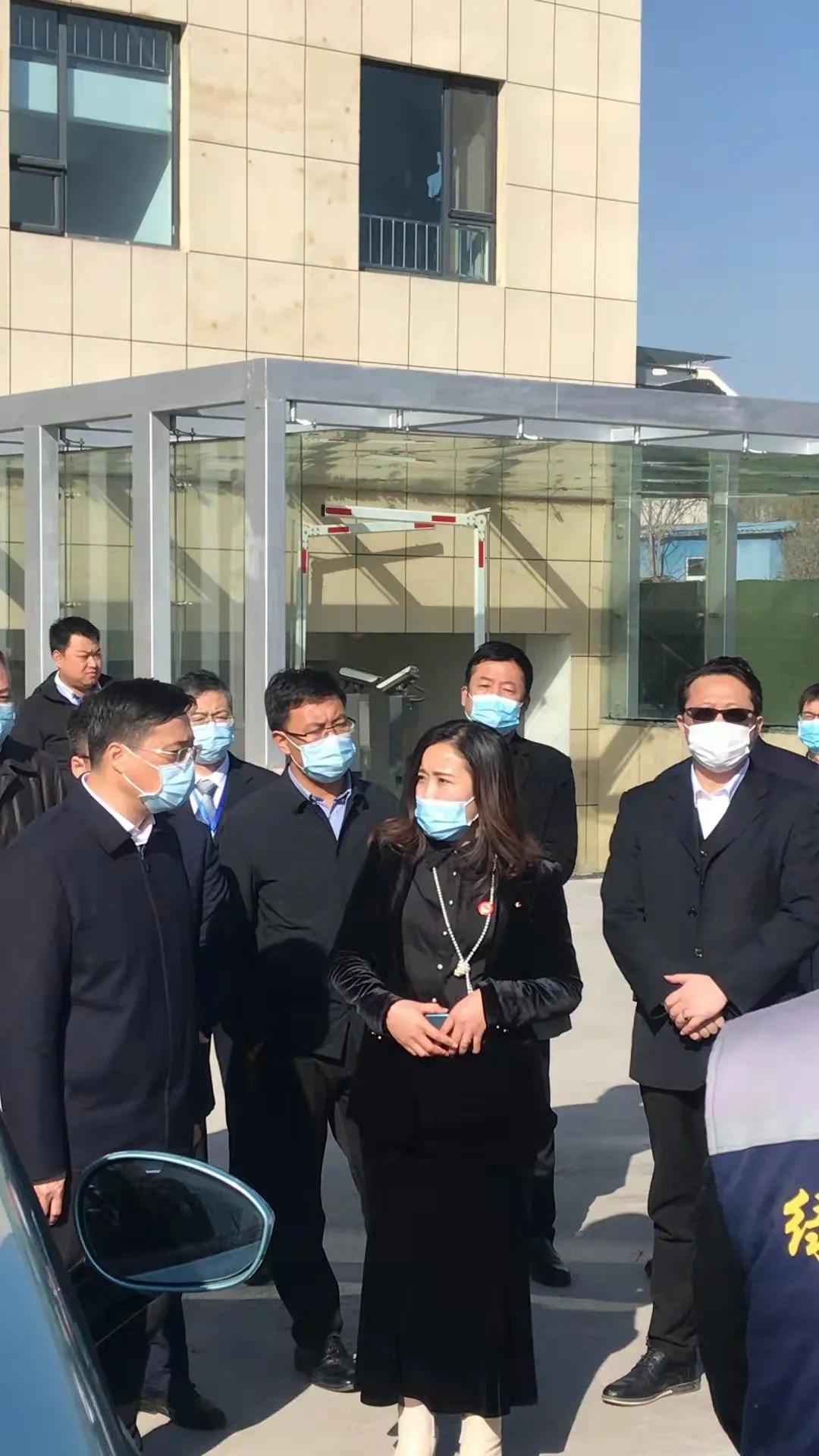 Li Hongli, Chairman of Taiying Group, reported on Shanxi Qianyang Film ...