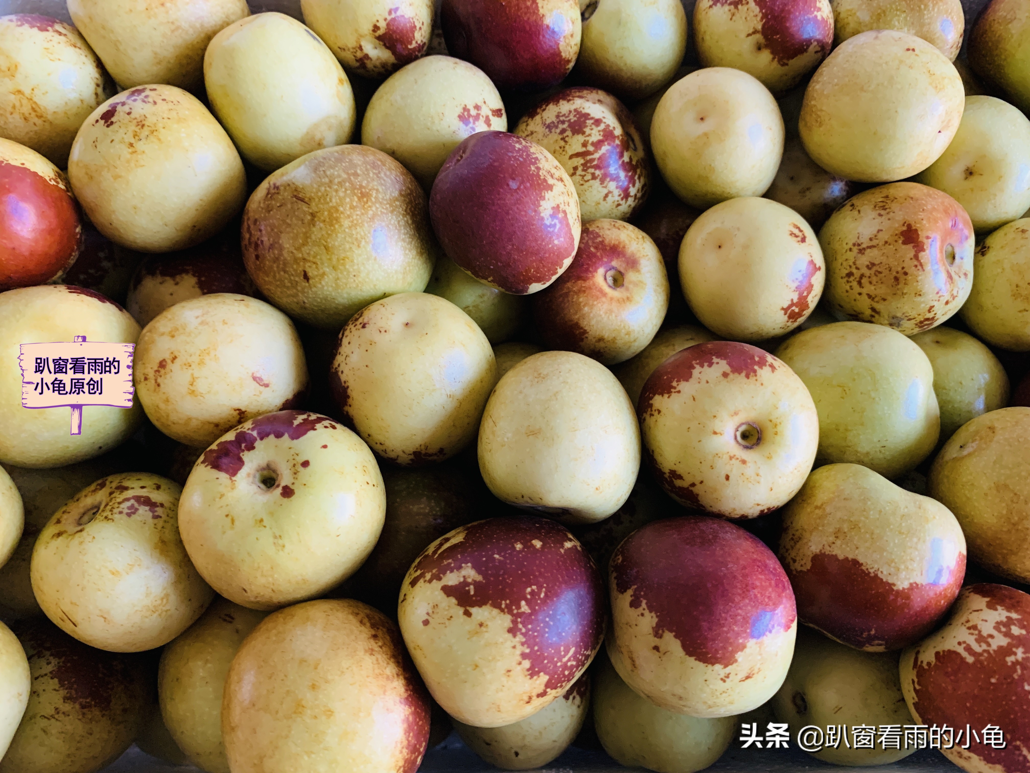 Fresh winter dates are delicious and difficult to preserve, share a ...