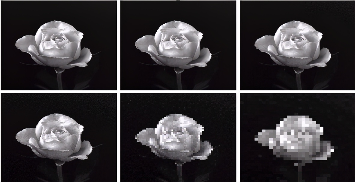 Can you believe it? The first to adopt pixel shift technology is not ...