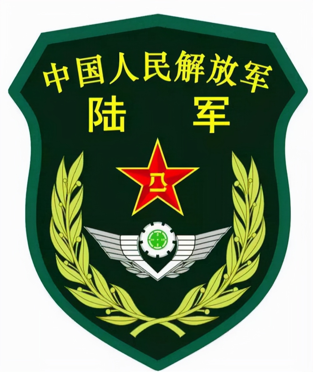 What are the main combat units of the Chinese People's Liberation Army ...