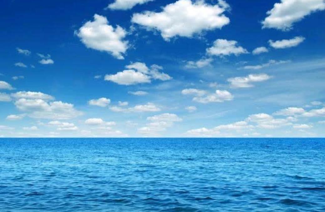 In the deepest part of the world more than 10,000 meters below the sea ...