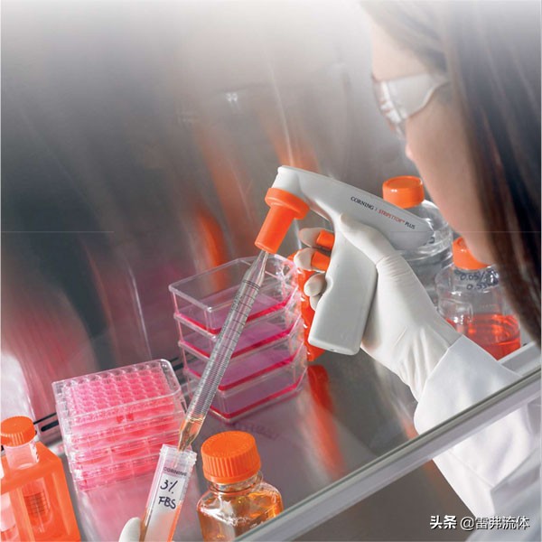What are Vero cells?What can it do? - iNEWS