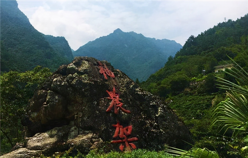 The "nine-headed bird" recorded in "Shan Hai Jing" appeared in ...