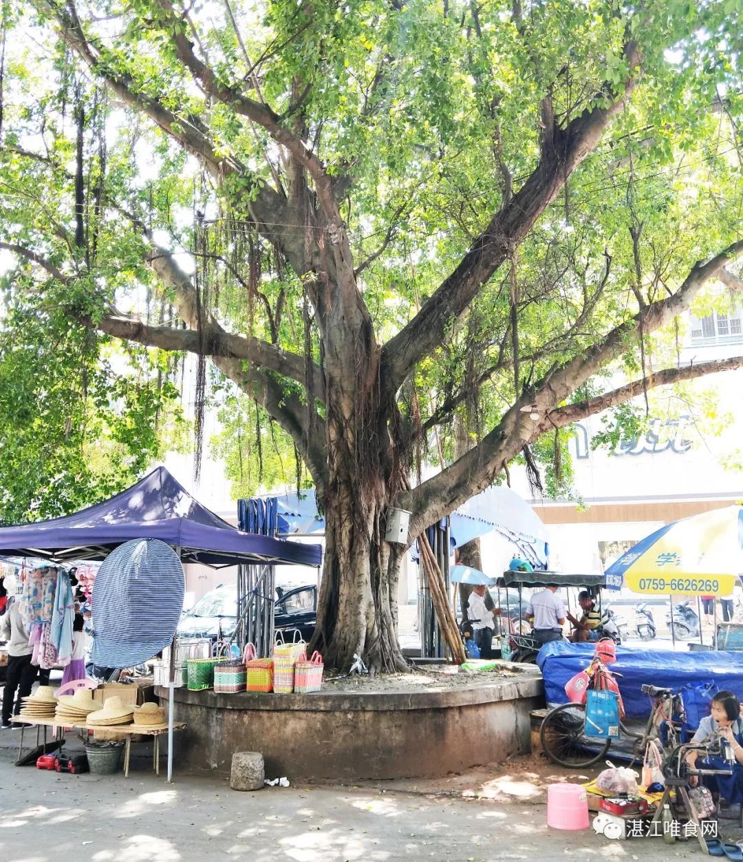 What is the taste of Anpu?Walk into the old street and taste it - iNEWS