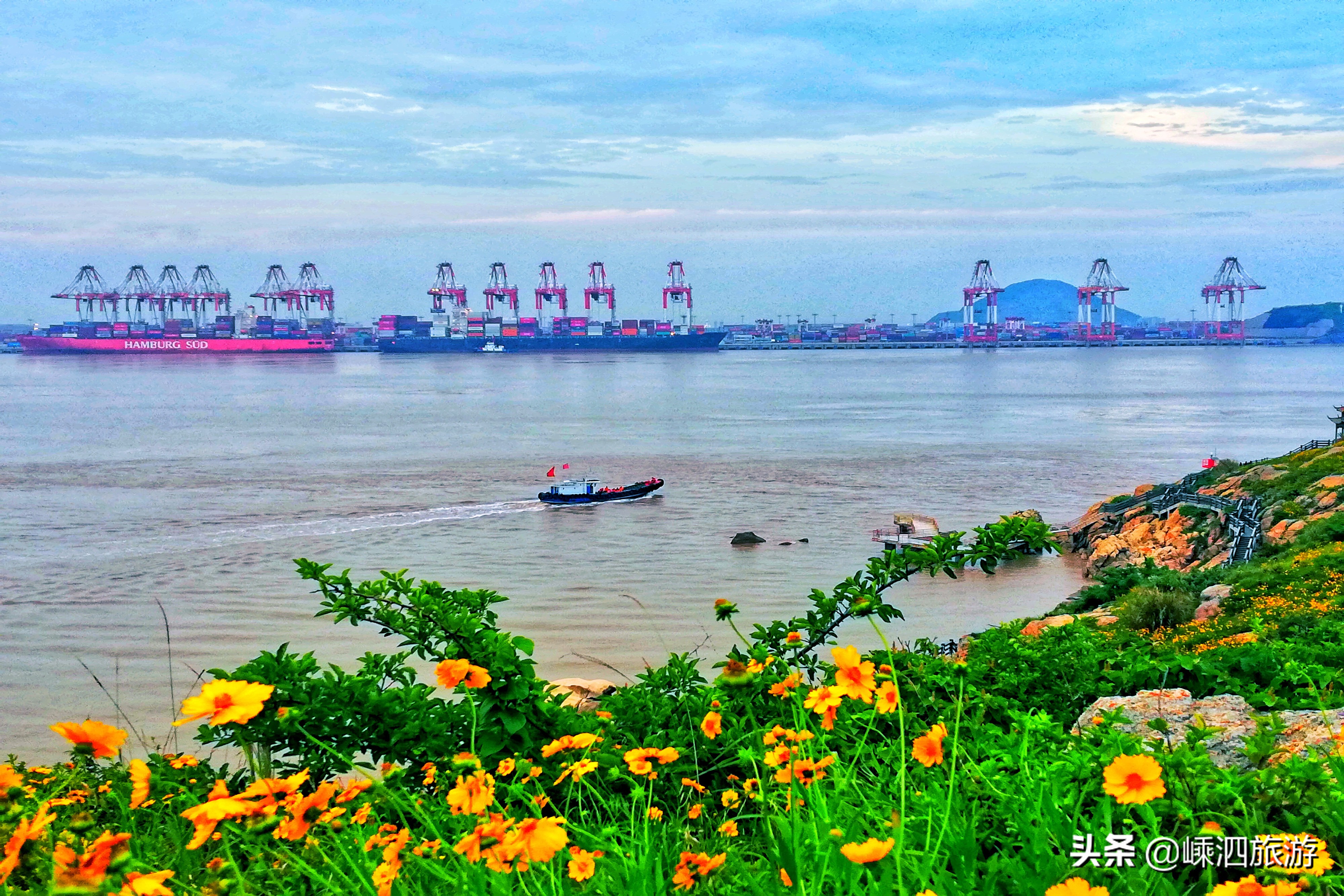 Check in the three islands of Yangshan, Chinese wolfberry, and ...
