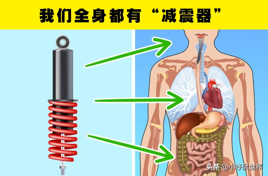 Do you know what the "Pinocchio effect" is?9 interesting facts about ...