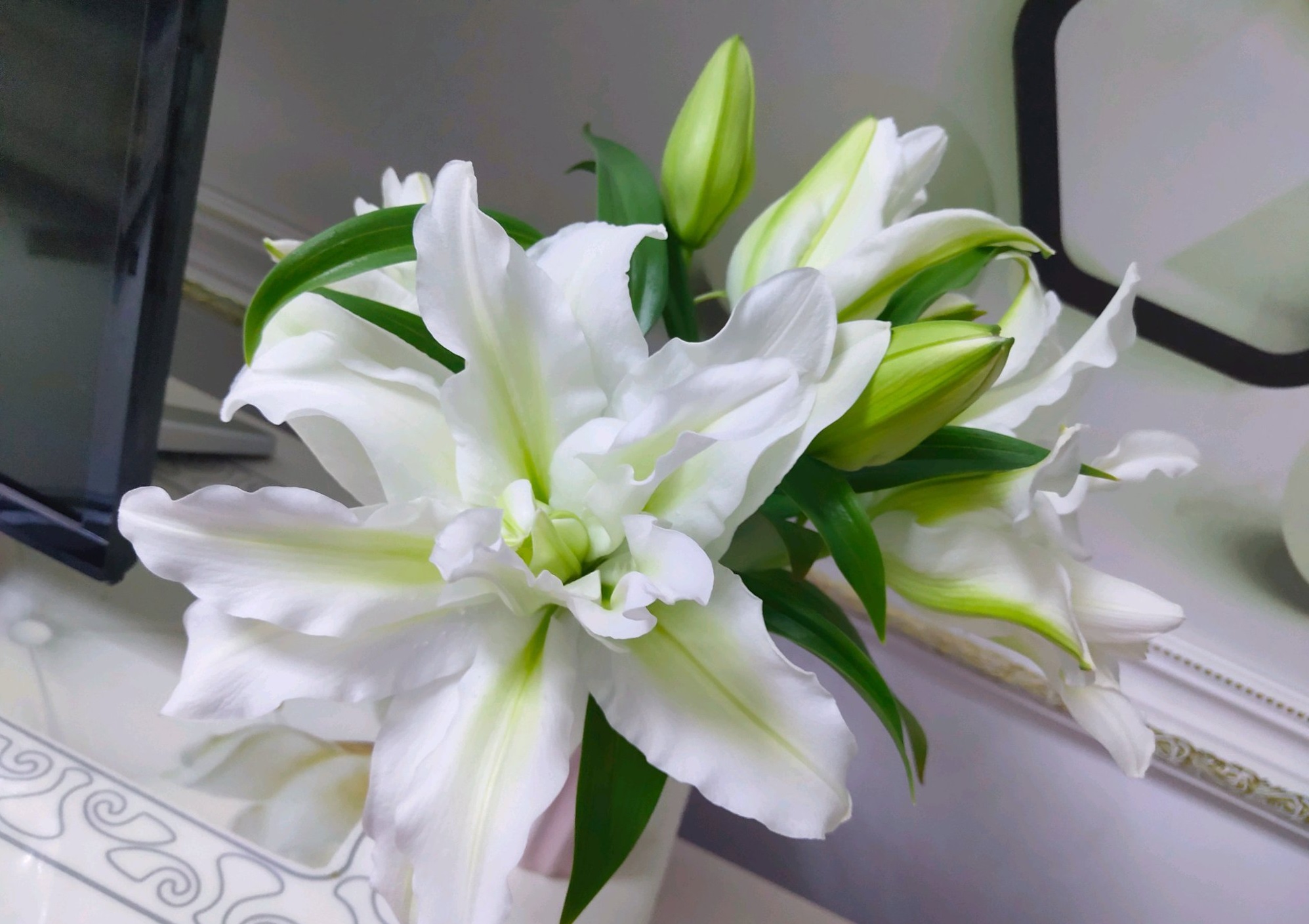 The "Big Mac" in the lily world-Aisha, the flower is huge, beautiful ...