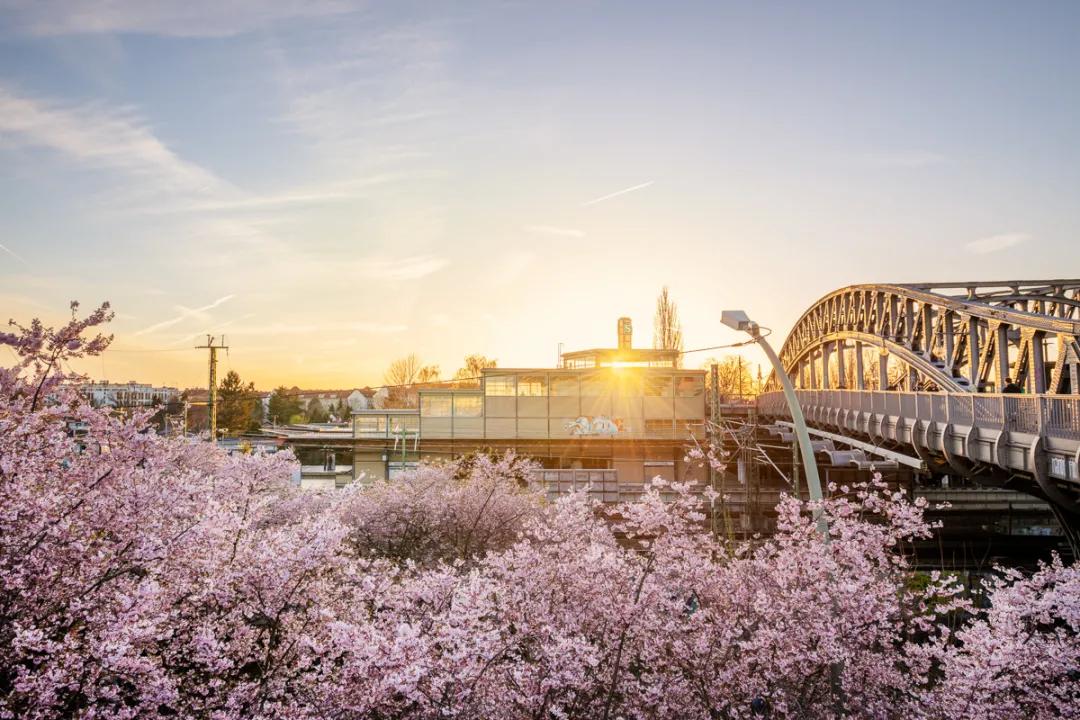 Seven bridges that carry Berlin's history - iNEWS