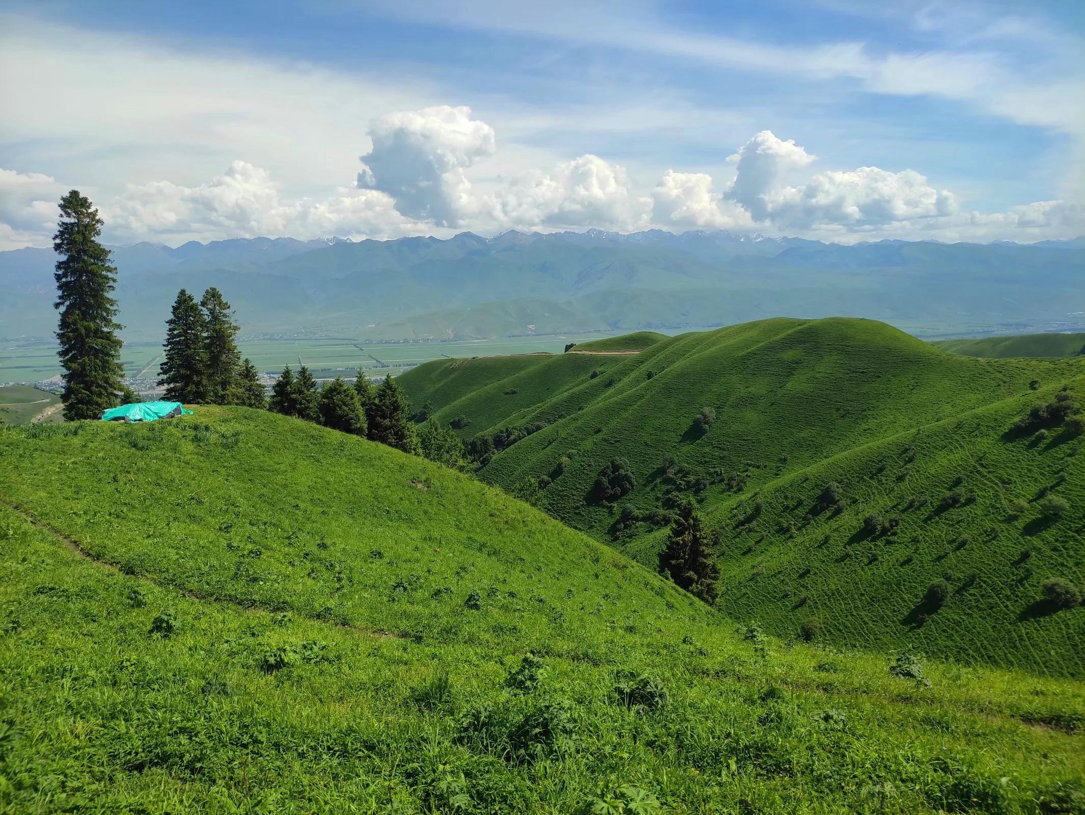 Nalati Grassland, my favorite place in Xinjiang, better than visiting ...