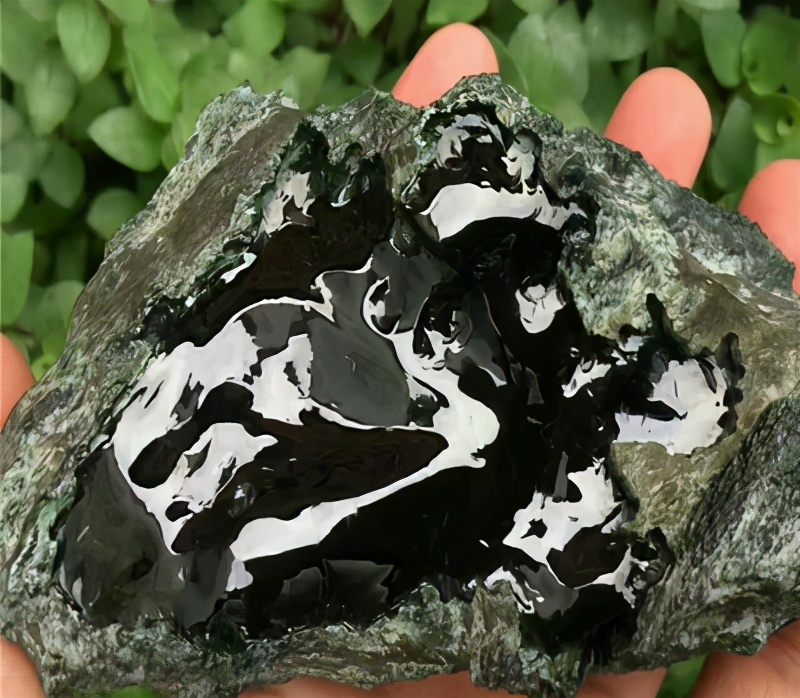 Mo Cui, the choice of a successful man - iMedia