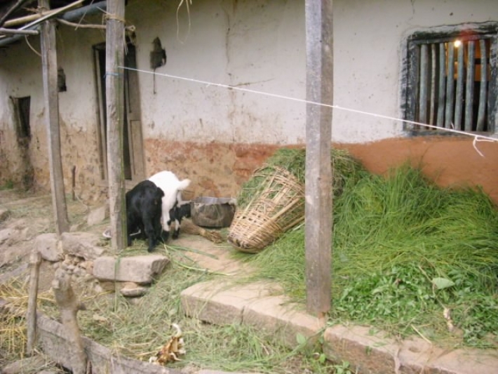 A new creation in Nepal to build houses with mud and bamboo, creating ...