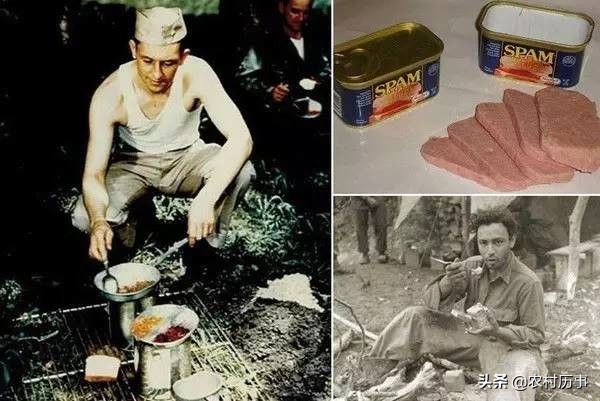 Can of luncheon meat, from World War II to the present - iMedia