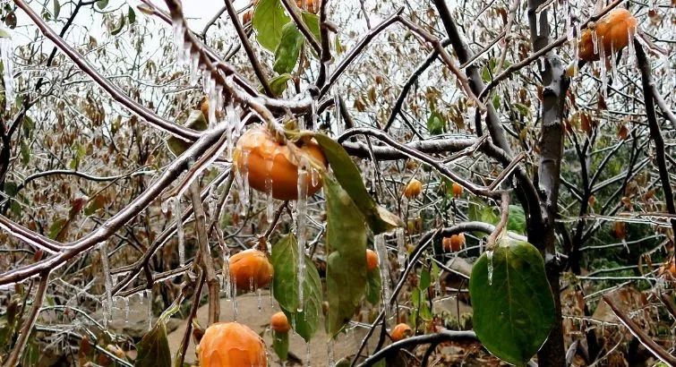 Houmingshan Village, Funing District, Qinhuangdao City - iNEWS