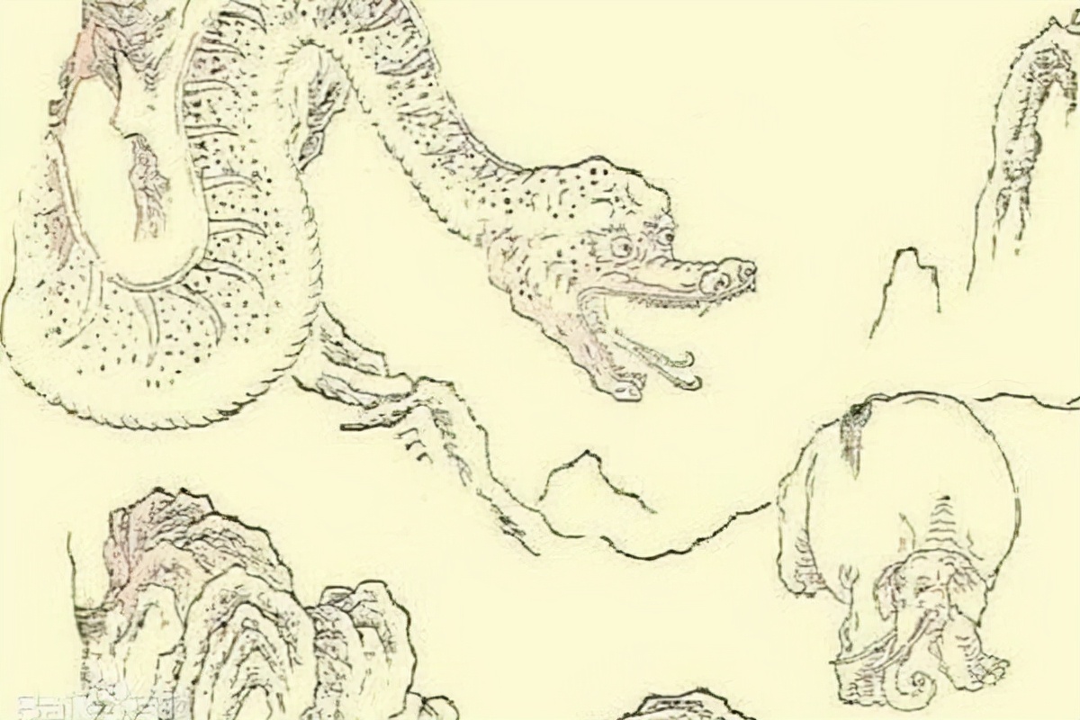 Ten legendary giant snakes: Wanabi snake that swallows dinosaurs is ...