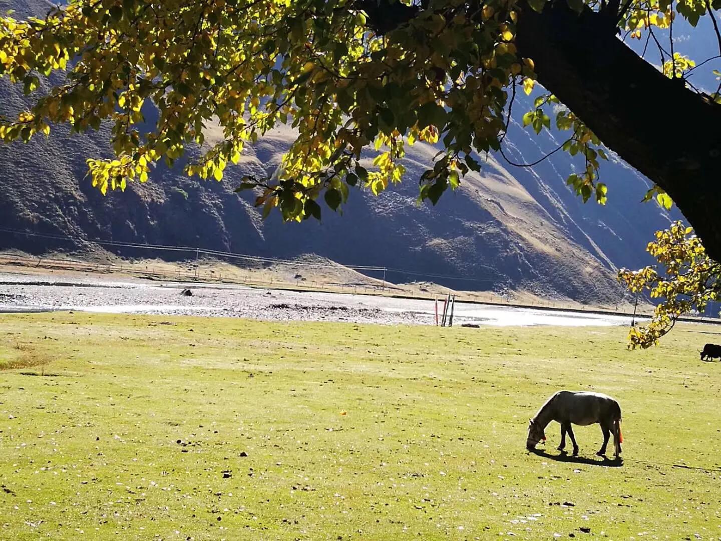 "Tao De Jing and Tai Chi Practice" - iNEWS
