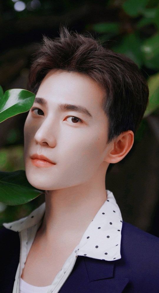 Reba, Yang Yang, Xiao Zhan, Zhao Liying, Wang Bo, Zhang Zhehan, Wang Junkai, Cheng Yi - iMedia