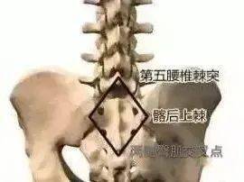 Some people have two recessed dimples on their back waist. Are these ...