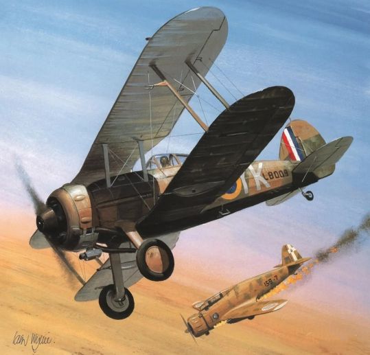 Master of Two Wings-Italian Fighter Flying Over North Africa (Part 2 ...