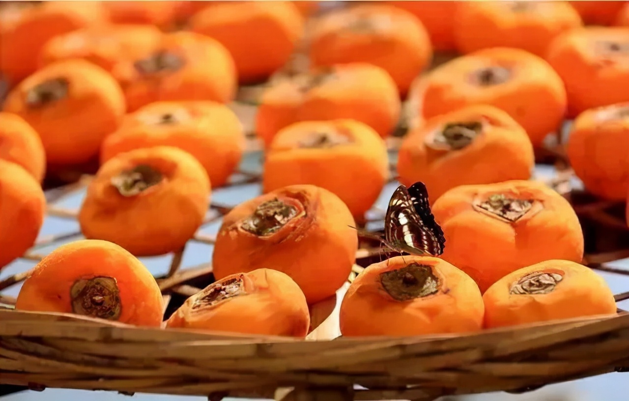 The sweet temptation of persimmons - iNEWS