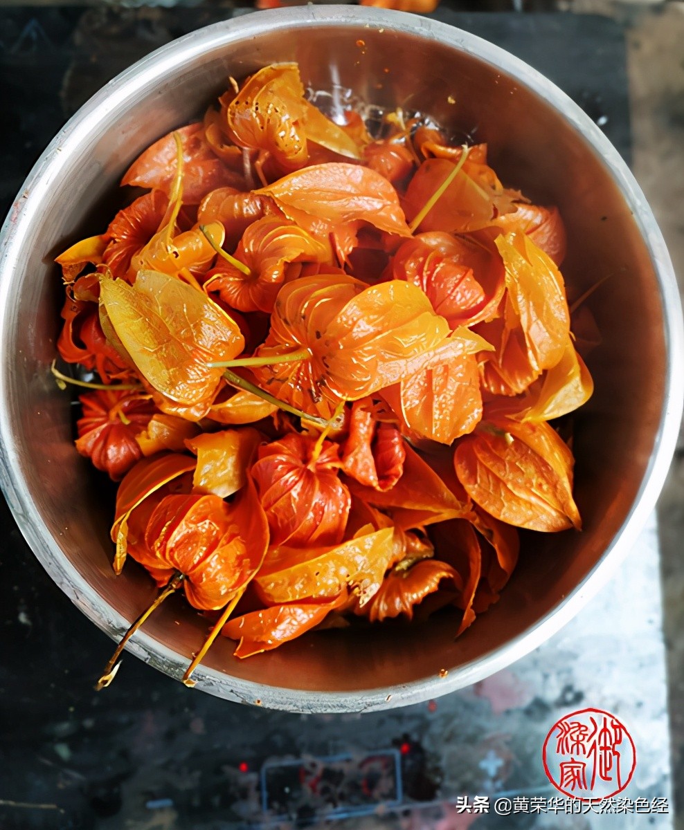 Vegetable Dyes-Red Girl - iNEWS