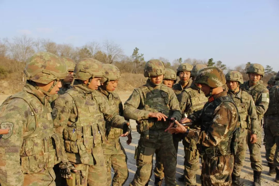What do you think about the effect of the new PLA camouflage quickly ...