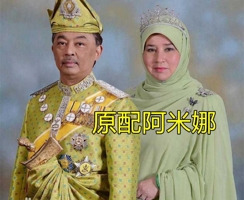 The king of Malaysia married 2 wives, gave birth to 5 tropical golden ...