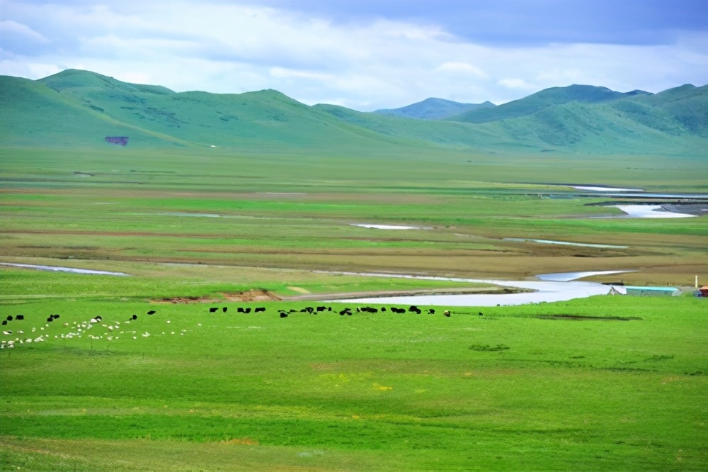 Learn about the top life of the Yellow River, what kind of secrets ...