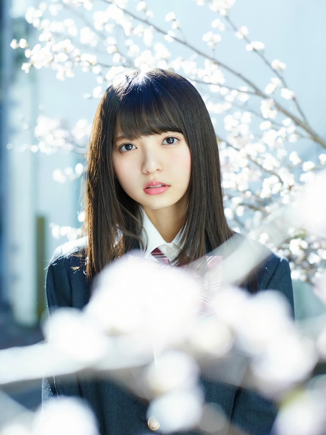 Introduction of Nogizaka 46 Photo Album "Always Blooming in Your Heart ...
