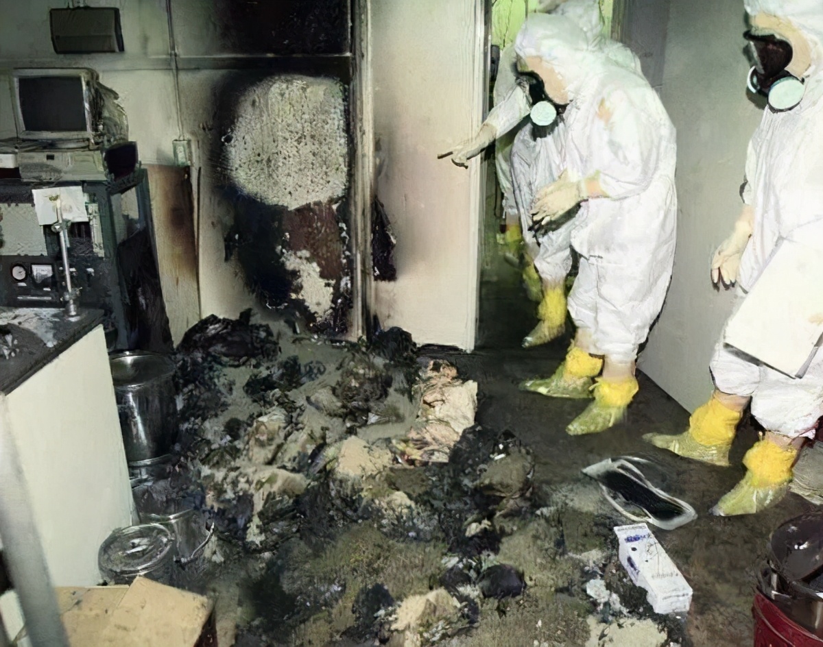 Watching yourself melted! What has changed after nuclear radiation ...