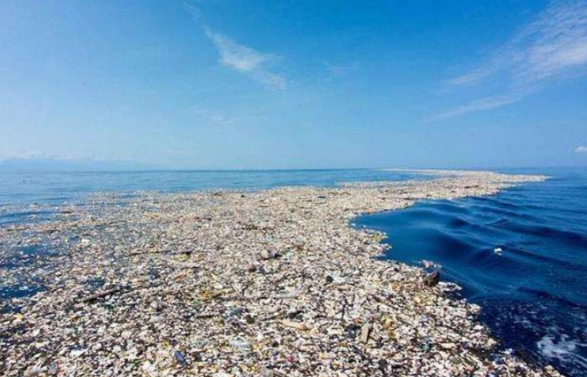 "Eighth Continent" appeared on the earth? The area is comparable to 4 ...