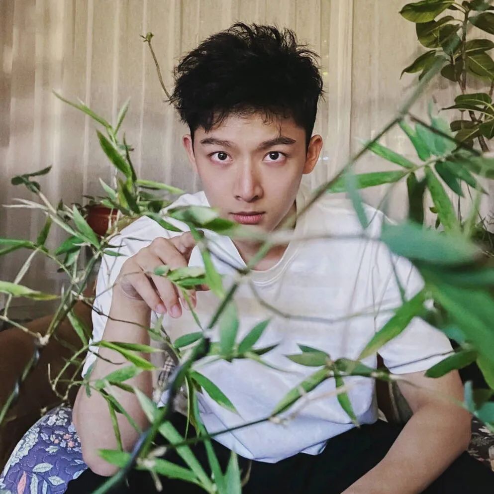 Little gossip, Jing Tian, Yang Caiyu, tranquil - iNEWS