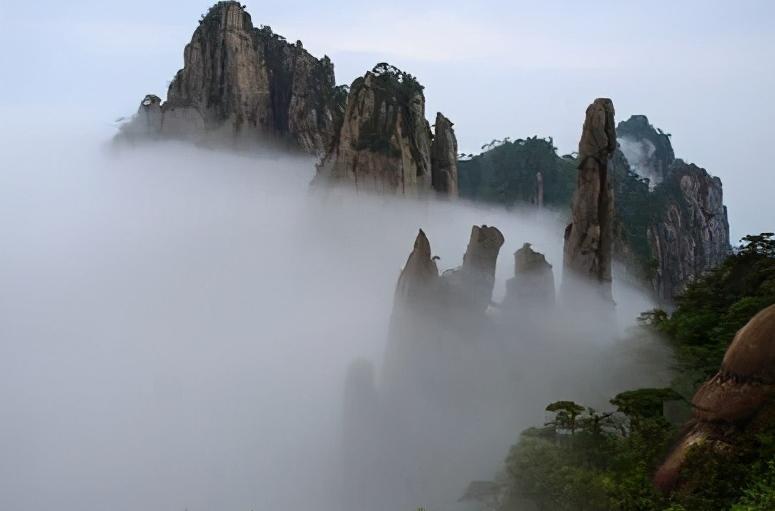 Yeluchucai's first masterpiece is meticulous in detail and passionate ...